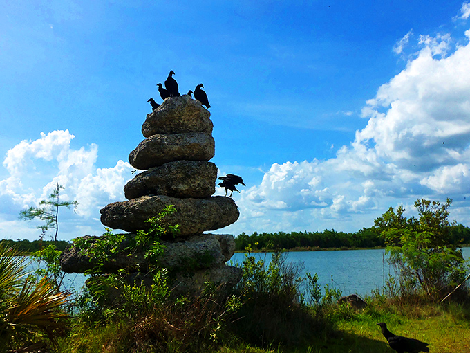 Rock stacking or nature's Jenga? These balanced stones serve as perches for birds with excellent taste in waterfront real estate.