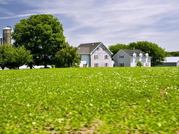 Downtown Strasburg showcases classic red brick architecture that's stood the test of time, complete with that impossibly charming white bell tower.