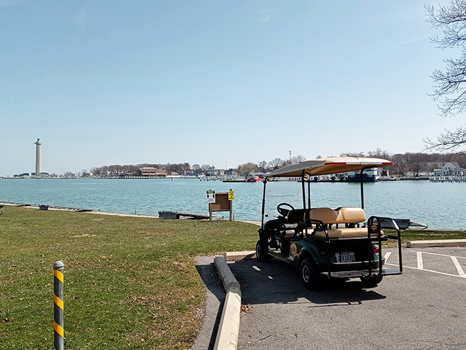 Island transportation at its finest—golf carts parked at the water's edge remind us that sometimes the best journeys happen at 15 mph.
