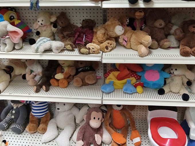 Stuffed animal adoption center where forgotten teddy bears and monkeys await their second chance at cuddle stardom.