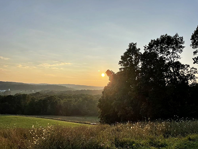 Golden hour magic that makes you forget to check your phone. Some moments simply demand your full attention.