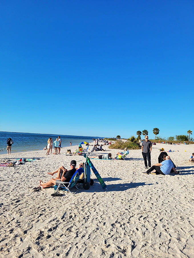 Fred Howard Park offers pristine white sand beaches without the tourist markup – proof that some of Florida's best coastlines still fly under the radar.
