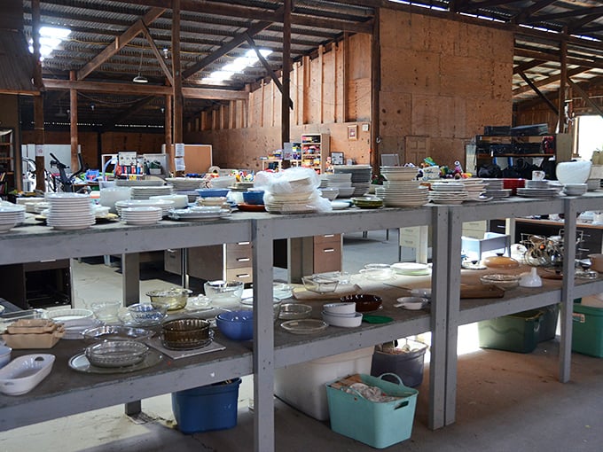 Dish paradise! From everyday plates to "where did you find that?!" serving pieces, Encore's tableware section transforms the mundane into magical through the alchemy of affordability.