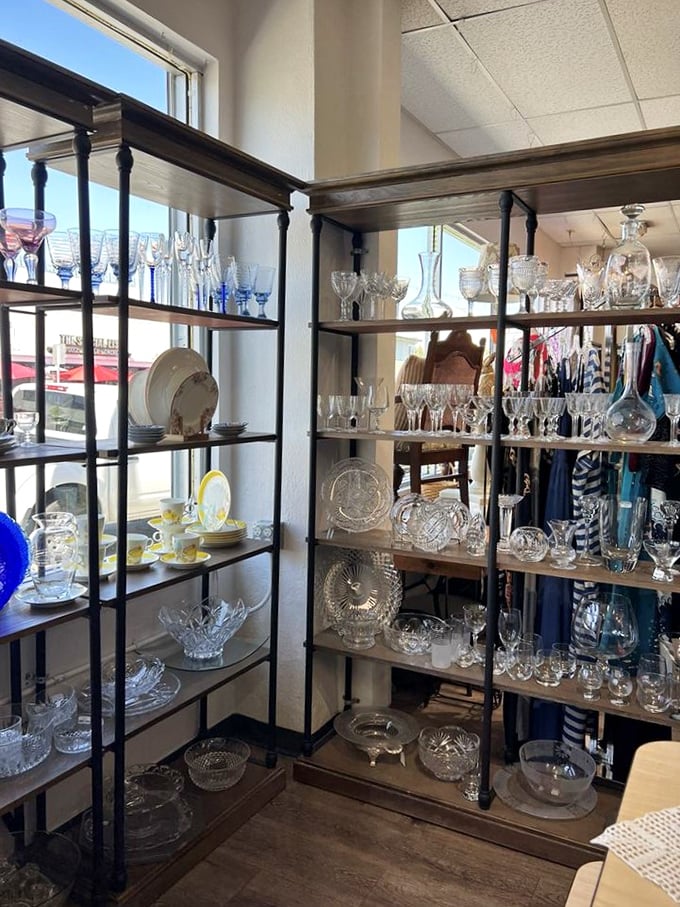 Crystal kingdom! Vintage glassware sparkles under perfect lighting, each piece whispering stories of elegant dinner parties from decades past.