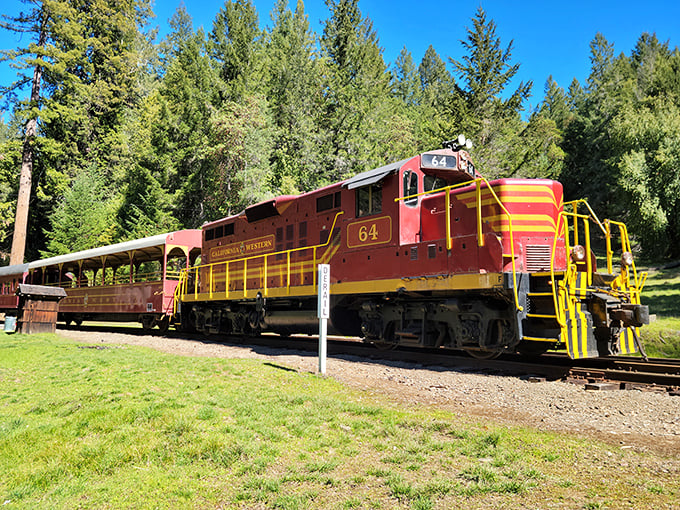 All aboard the California Western "Skunk Train," where history chugs along through redwood forests just as it has for generations.