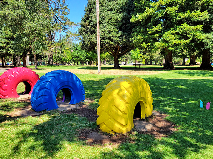 These colorful tractor tires aren't modern art&mdash;they're Todd Grove Park's playground equipment, proving fun doesn't need batteries or Wi-Fi to work properly.