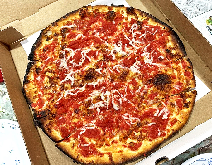Behold the star of our show: a perfectly charred crust supporting that vibrant tomato topping. Simple ingredients performing culinary magic.