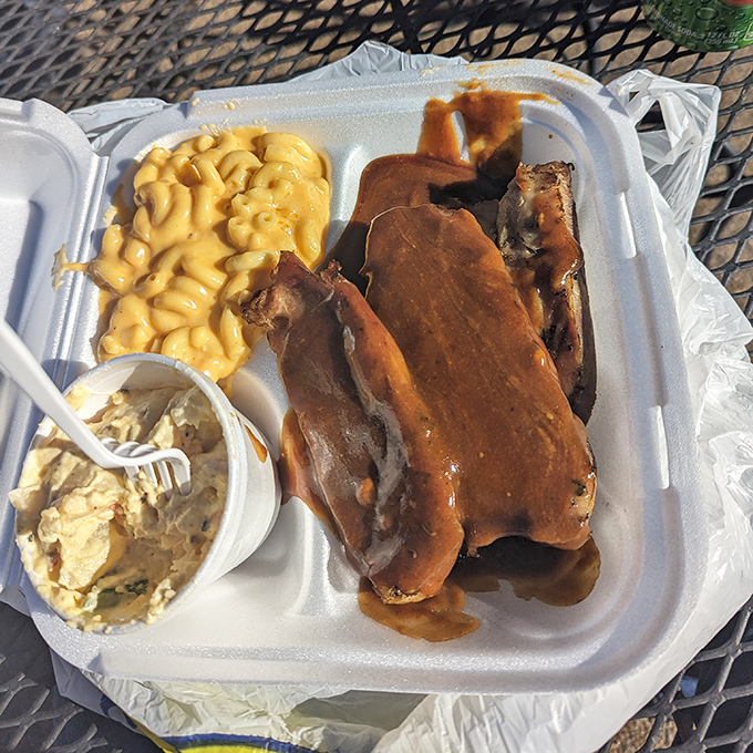 Turkey ribs &ndash; nature's culinary magic trick &ndash; glistening with sauce alongside creamy mac and cheese. Your shirt doesn't stand a chance.