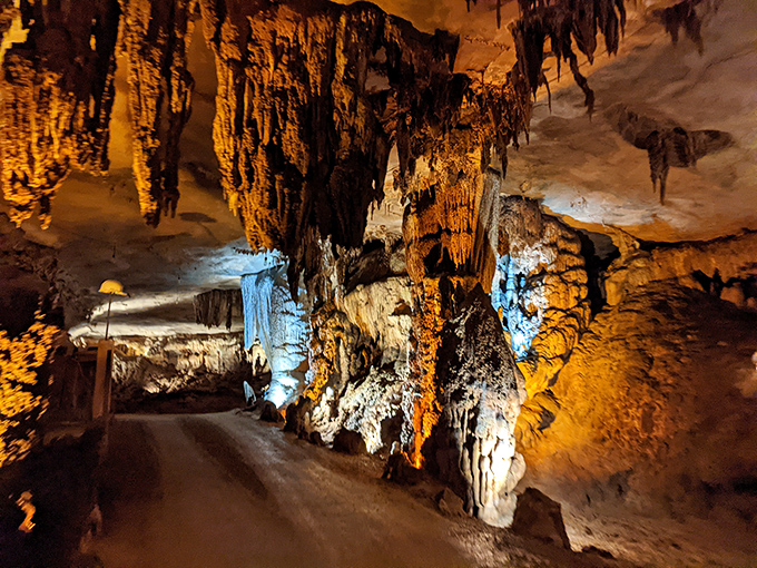 Like stepping into a sci-fi movie set, except this one took millions of years to build. The dramatic lighting highlights nature's patient artistry.