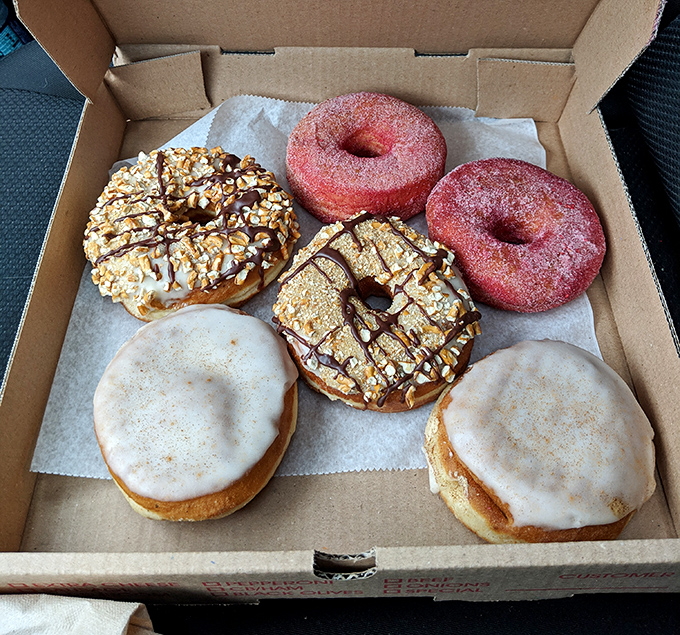 Box of joy! A half-dozen vegan masterpieces that prove plant-based pastries can be just as indulgent as their dairy-laden cousins.