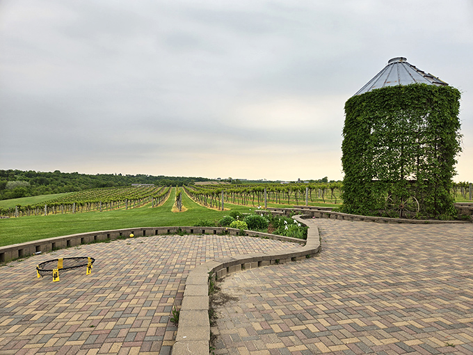 This vine-covered silo stands sentinel over rolling vineyards, proving Wisconsin can do more than just cheese (though the cheese is still spectacular).