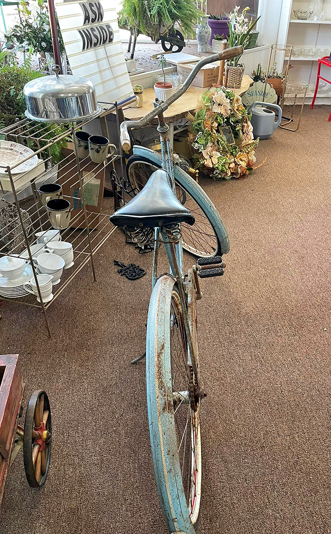 This vintage bicycle isn't just transportation; it's a time machine on wheels. Imagine the stories it could tell about Pennsylvania roads traveled decades ago.