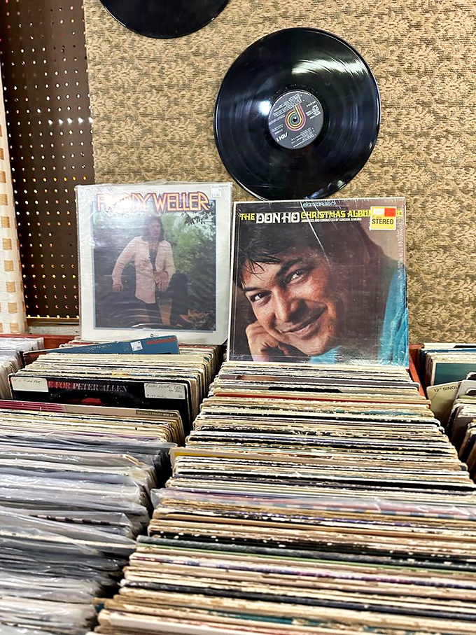 Vinyl heaven for music lovers! These records aren't just albums &ndash; they're time machines that play the soundtrack of someone's best memories.
