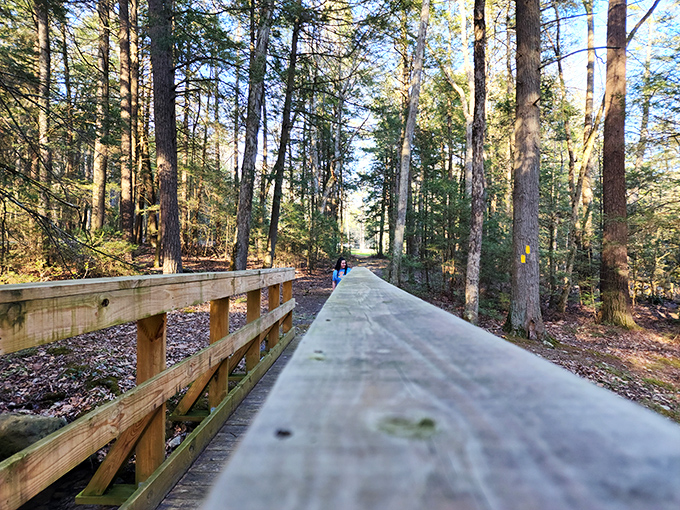 Walking these wooden pathways through towering pines feels like stepping into the opening scene of a film about finding yourself.