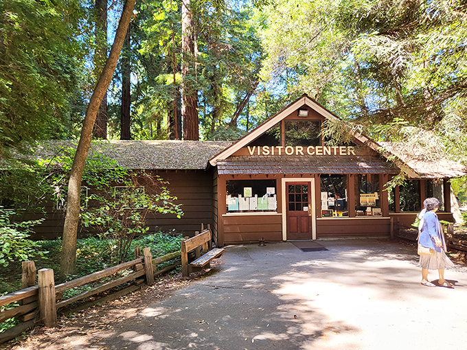 Rustic charm meets forest wisdom at the visitor center. It's like Thoreau's cabin got an upgrade but kept all the good vibes.