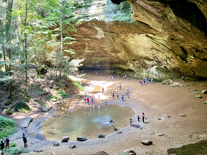 Ash Cave's massive recess creates a natural amphitheater where even whispers carry. Nature's concert hall has perfect acoustics and no ticket fees.