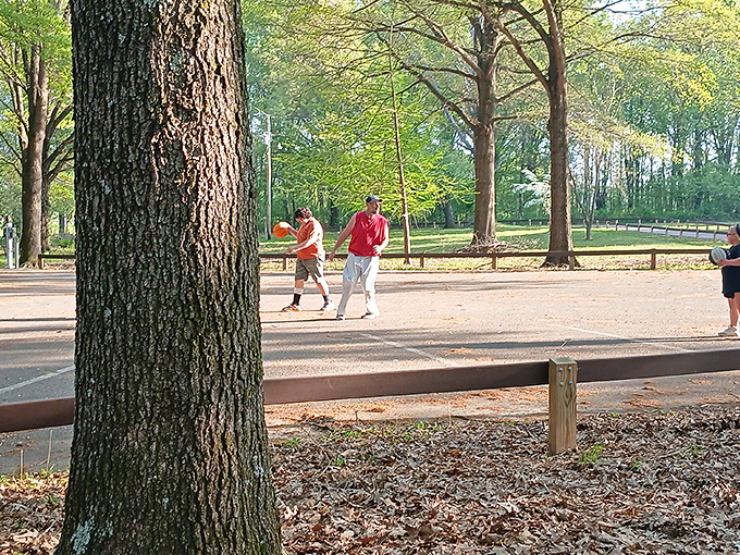 Family recreation area where memories are made one basketball bounce at a time. No NBA scouts required, just pure fun.
