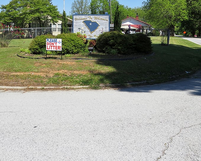 The "Welcome to Whitmire" sign might not be fancy, but like the town itself, it's honest, unpretentious, and genuinely glad you came.