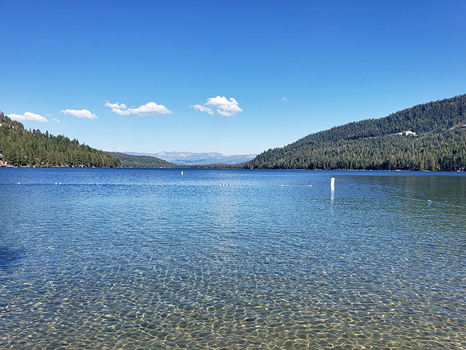 Crystal clear waters reflect the Sierra's majesty, offering a refreshing summer escape that's worth every penny of your Social Security check.