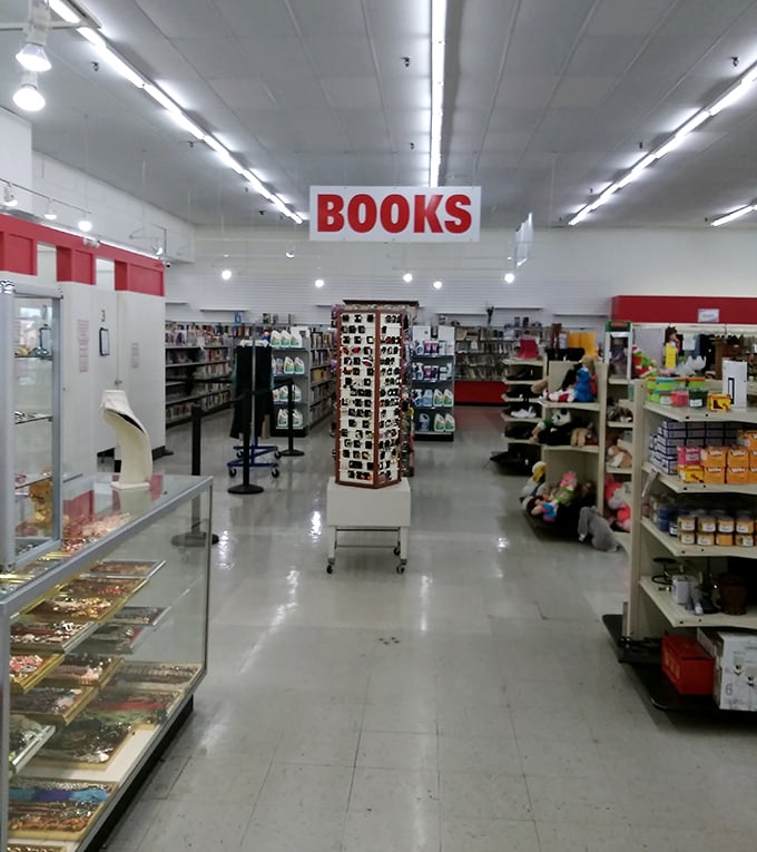 Books beckon bibliophiles with their colorful spines, promising adventures that cost less than a fancy coffee.