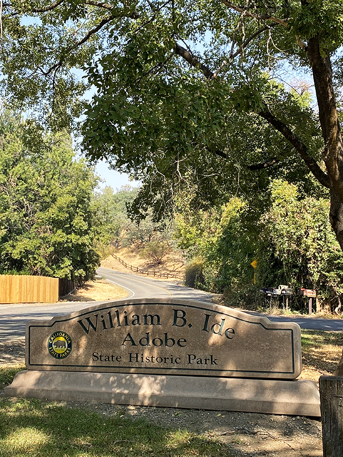 William B. Ide Adobe State Park welcomes history buffs with shade trees that have witnessed California's transformation from wild frontier to weekend getaway destination.