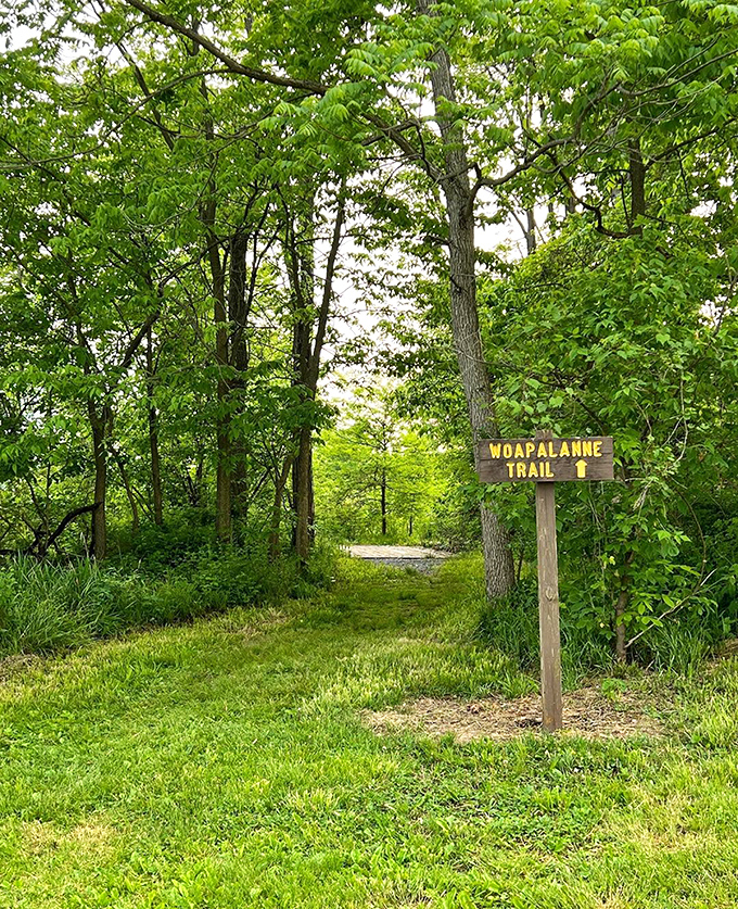 The Woapalanne Trail beckons with its wooden sign &ndash; nature's equivalent of "this way to happiness" with significantly fewer crowds than Disney. 