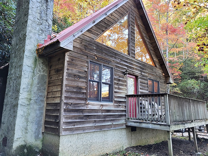 This rustic cabin nestled among fall foliage offers the quintessential mountain getaway &ndash; where "roughing it" still includes a proper roof and indoor plumbing.