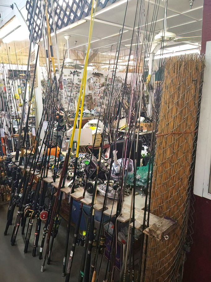 Fishing enthusiasts find their happy place among rows of rods and reels. The only thing not for sale is the fish story you'll tell later.