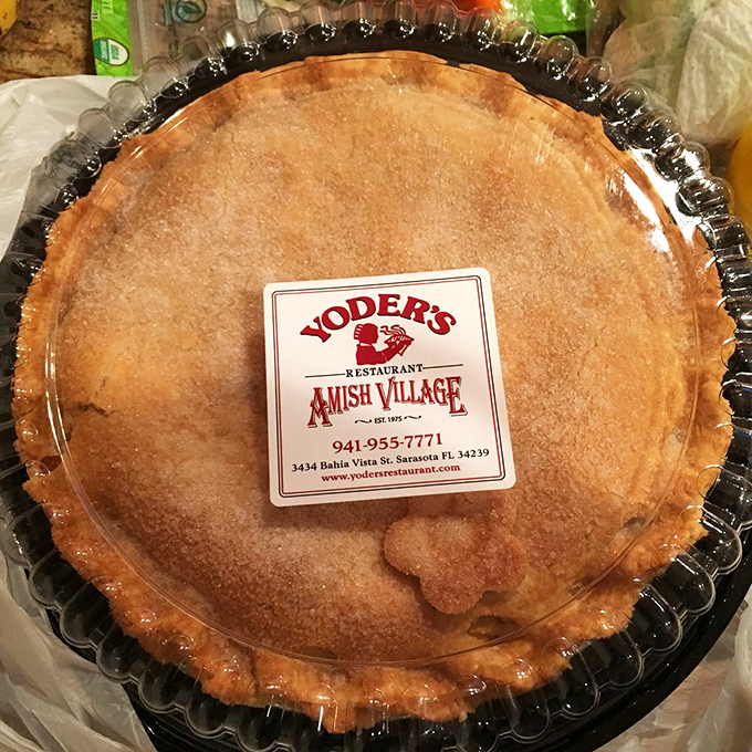 Pie perfection doesn't happen by accident. This golden-crusted masterpiece is what dessert dreams are made of—no filter needed.