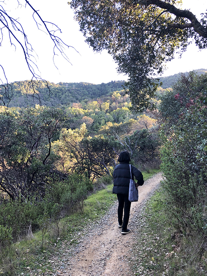 Walking these trails feels like stepping into a painting &ndash; one where you're allowed to touch the art and breathe the colors.