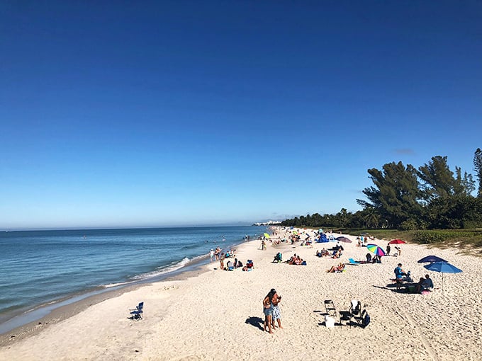 Naples beaches redefine "white sand" with powder so fine it squeaks beneath your feet like fresh snow—minus the frostbite.