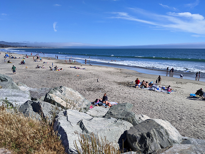 Beach day perfection doesn't require tropical destinations. Here, families carve out sandy real estate while surfers perform their graceful dance with the Pacific.