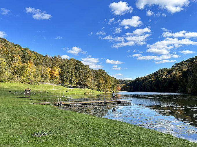 Two wheels, endless trails, and the kind of scenery that makes you forget you're getting exercise.