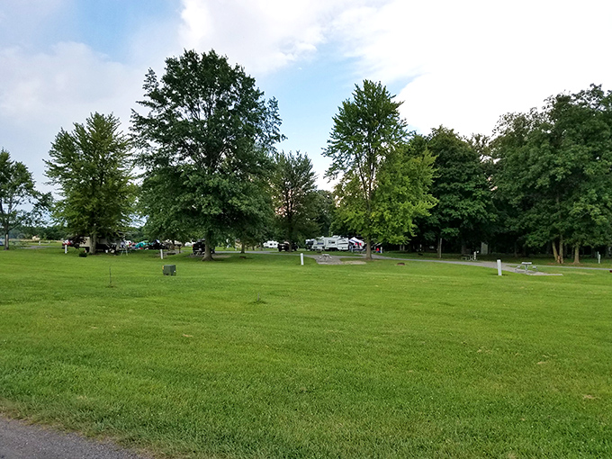 Wide open spaces and towering trees make the campground feel like your own private retreat, just with better stories from neighboring campers.