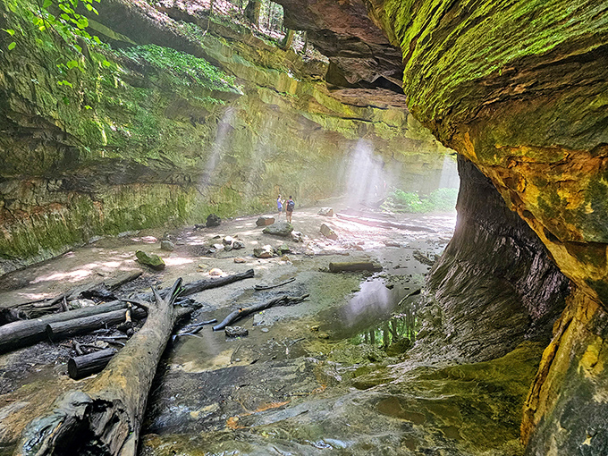 Mother Nature's cathedral, complete with sandstone walls and dappled light streaming through a forest canopy. Somehow more impressive than anything humans could engineer.