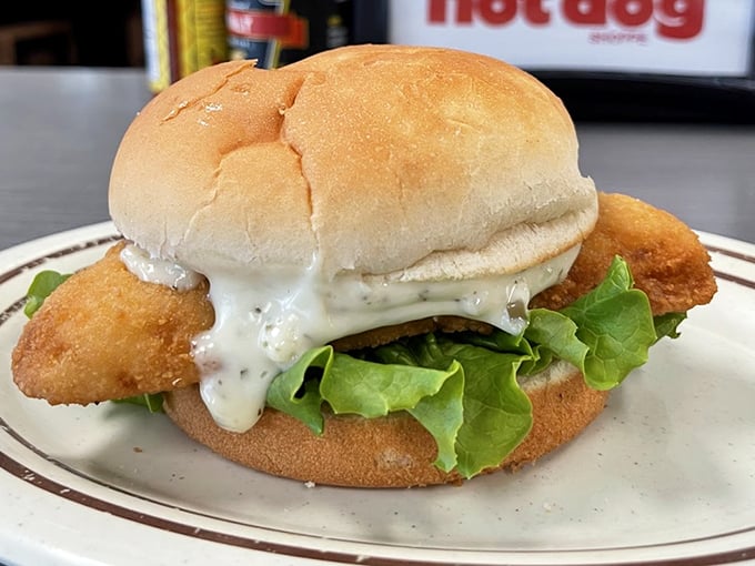This isn't just a chicken sandwich; it's what happens when poultry achieves enlightenment between two buns.