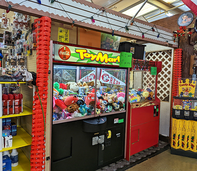 The classic claw machine &ndash; where hope springs eternal and stuffed animals taunt you with their seemingly attainable cuteness.