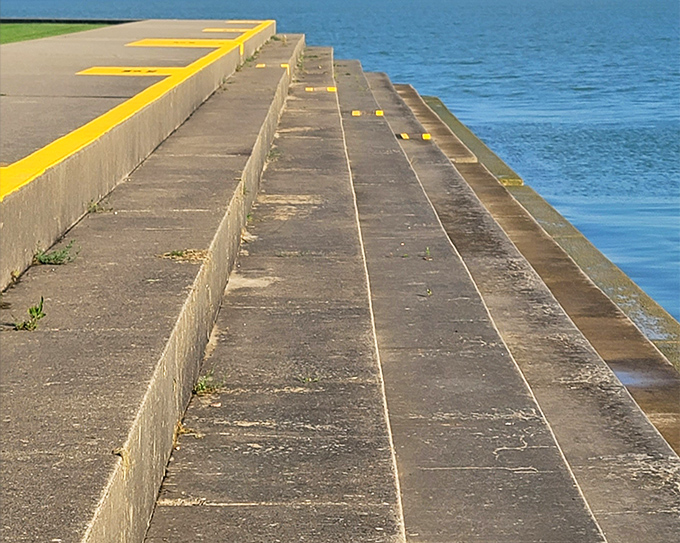 This concrete ribbon leads adventurers through marshlands that feel like stepping into a nature documentary.