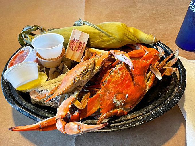 These magnificent crustaceans didn't sacrifice themselves for nothing. Served with corn and butter, it's a glorious mess worth every napkin.