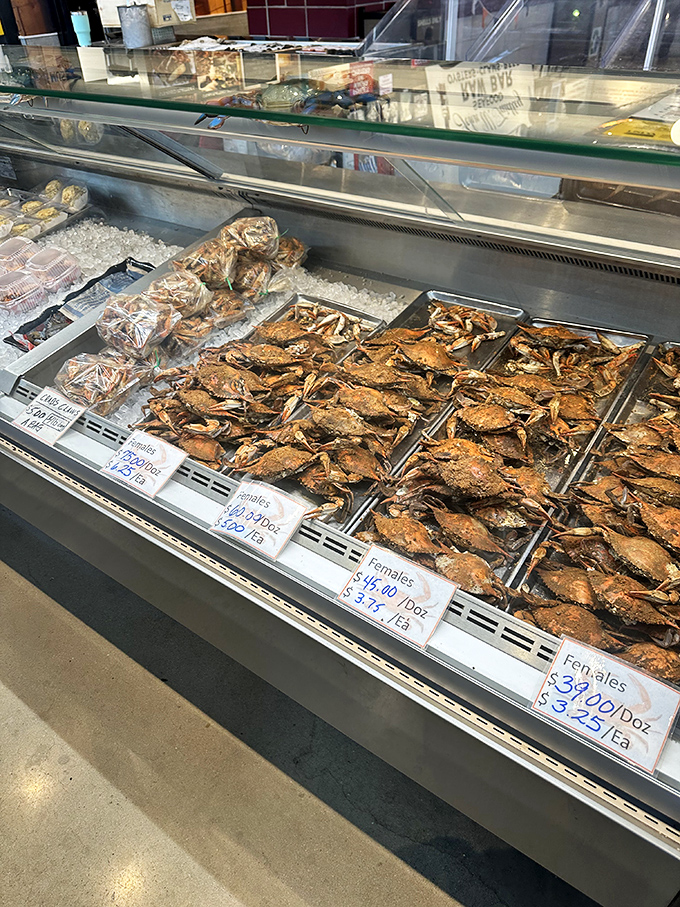 Blue crabs on ice, nature's puzzle boxes filled with sweet meat. These Chesapeake treasures are why Marylanders smile knowingly when outsiders mention "seafood."