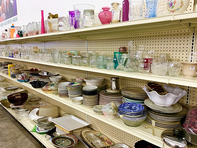Dishware heaven! Enough plates and bowls to host a dinner party for everyone you've ever met – including that cousin nobody talks about.