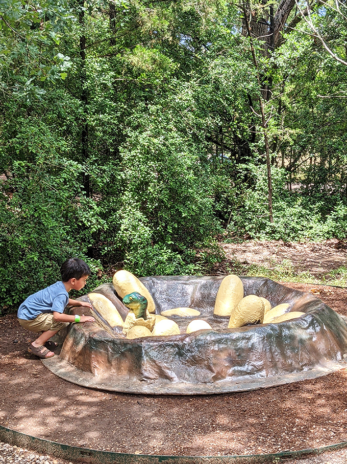 Future paleontologists get hands-on experience at the dinosaur nest exhibit. No need to worry about angry mama dinos returning.