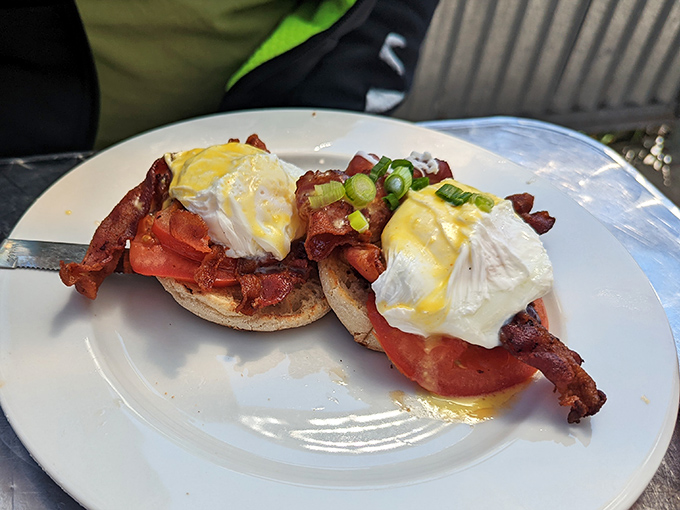 Benedict done right: perfectly poached eggs perched atop an English muffin throne, draped in hollandaise and crowned with green onions. Breakfast royalty.