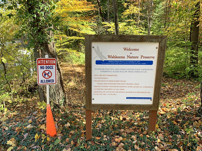 Simple signage proves the best destinations don't need flashy billboards to steal your heart.