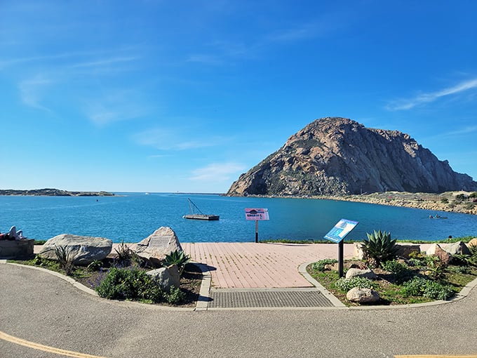 Morro Rock stands like nature's monument against the blue canvas of sky and sea, making every visitor feel delightfully insignificant.