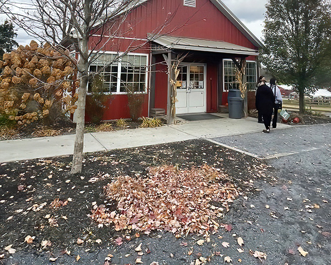 Fall at Klein Farms brings a tableau of autumn leaves, crisp air, and the promise of warm farm-fresh treats inside that red door.