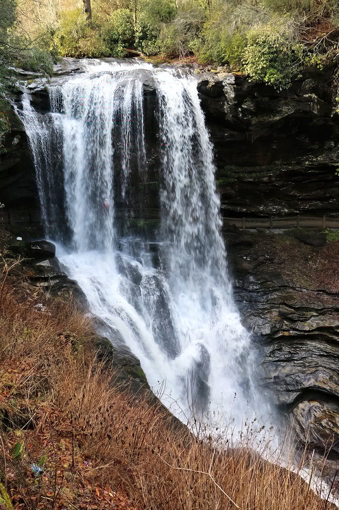 The main event in all its glory, proving that some things are worth the short walk from the parking lot.