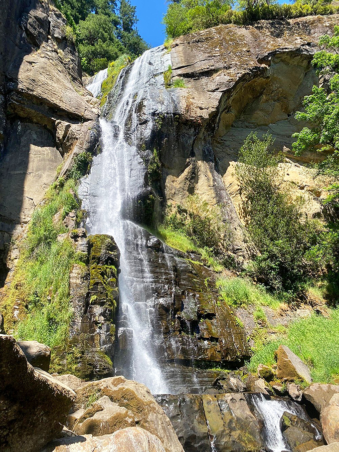 Silver Falls proves that sometimes the best things in life really do come in perfectly dramatic packages.