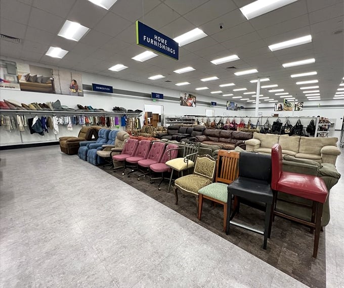 A furniture wonderland where mismatched chairs create perfect harmony and that pink sectional whispers "take me home."