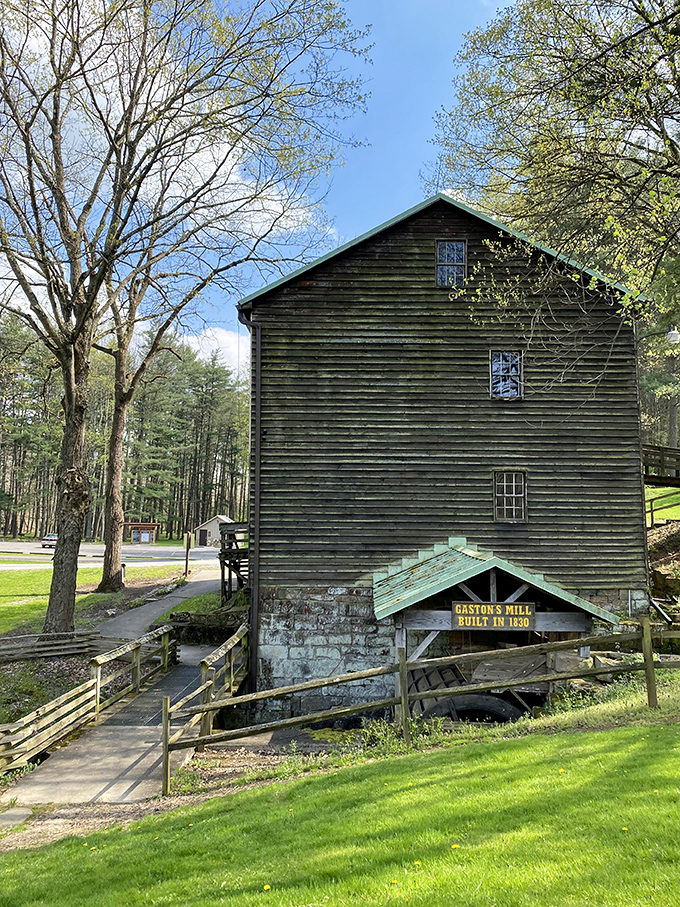 Gaston's Mill stands tall, grinding grain like it's 1830 and nobody told it to stop.